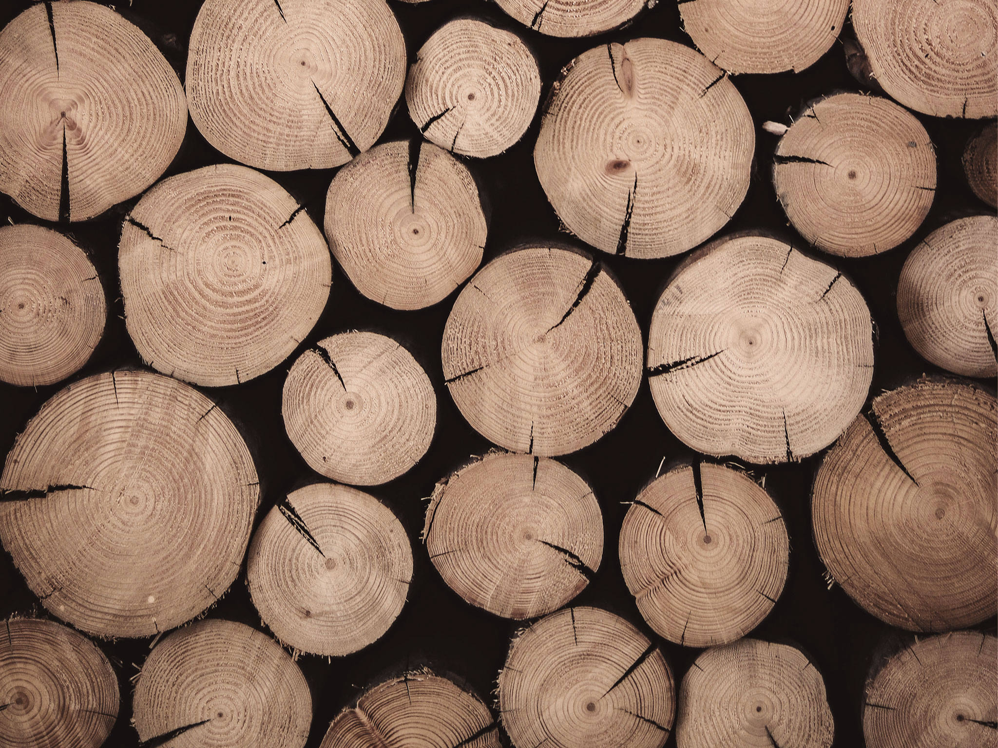 De Werven: duurzame ontwikkeling op een ‘superdijk’