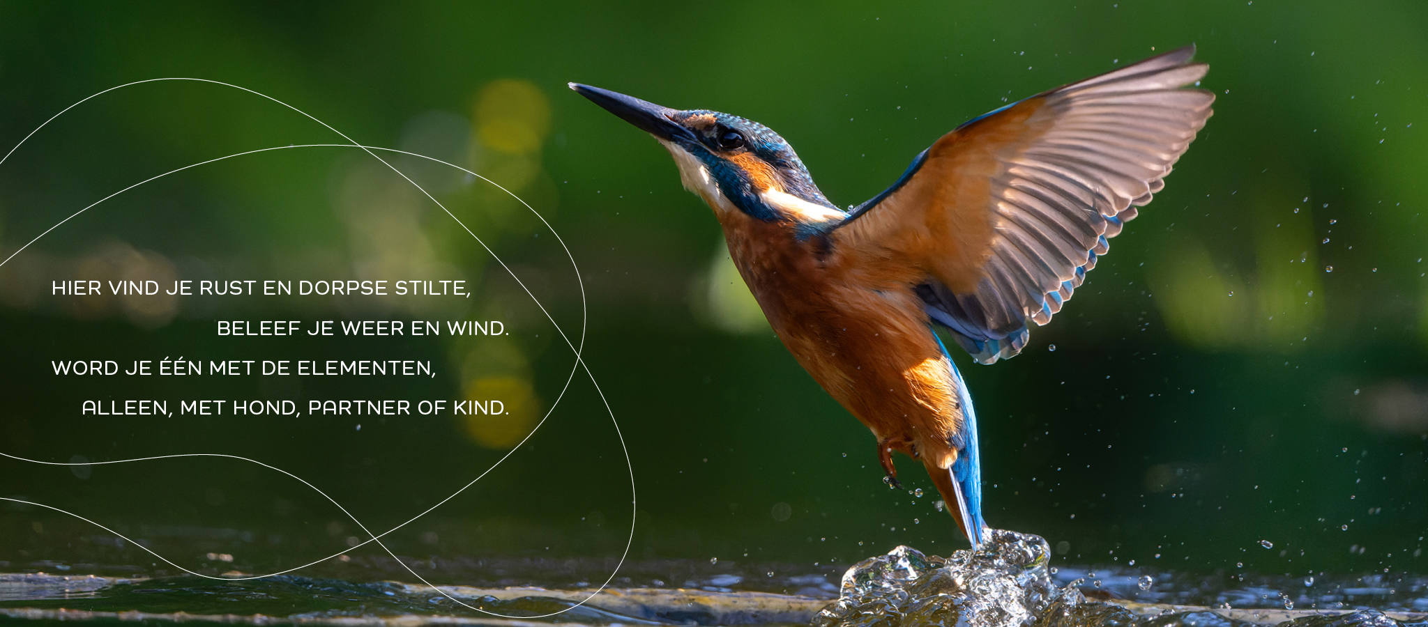 De Werven | Nieuwbouw Reeve