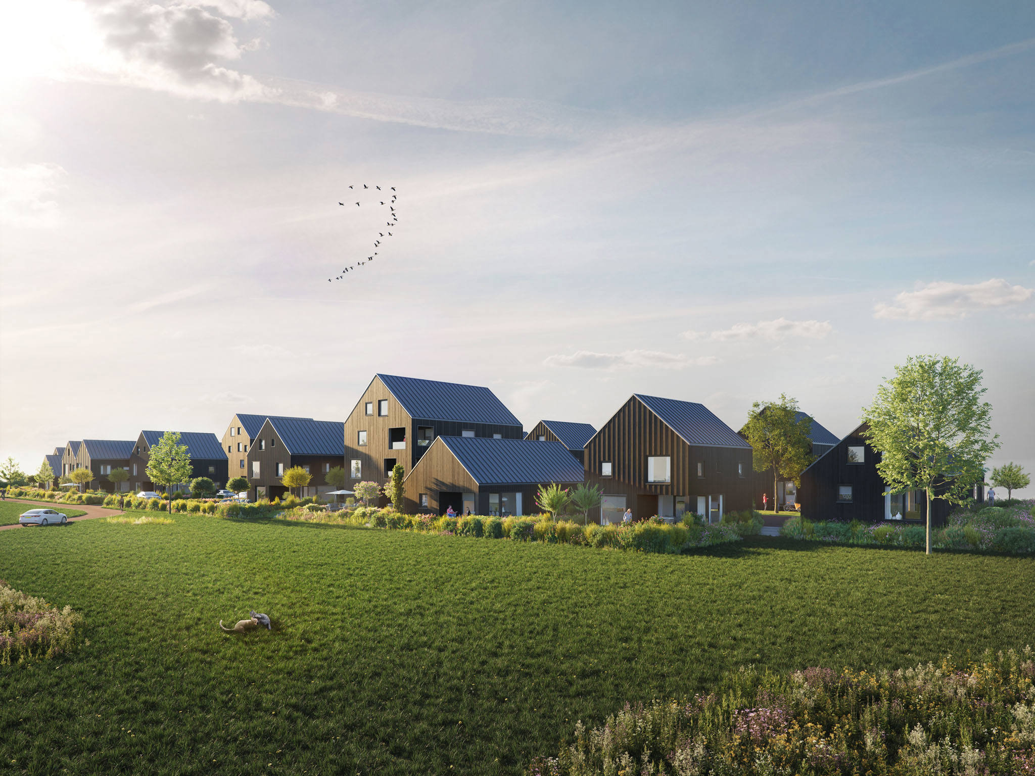 Woningen De Werven | Reeve