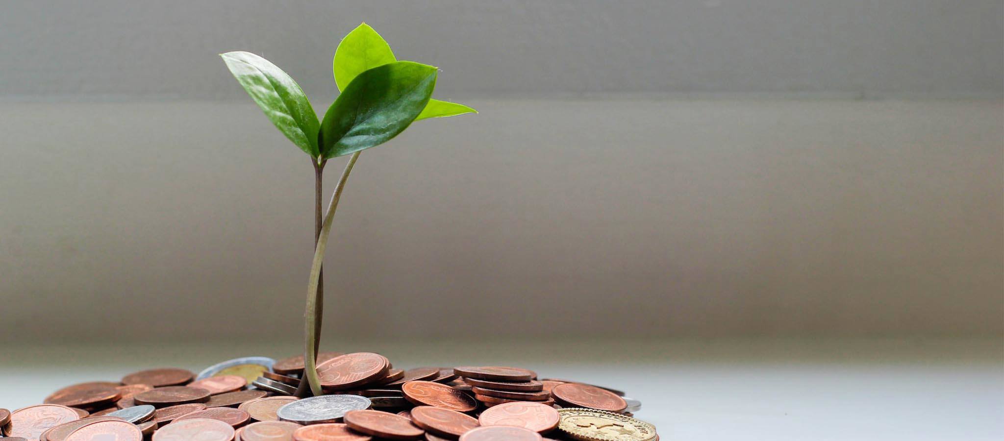 Nieuws over De Werven | Nieuwbouw in Reeve